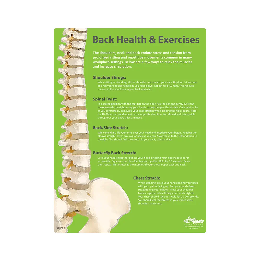 Back Health & Exercises Poster – Regs Authority